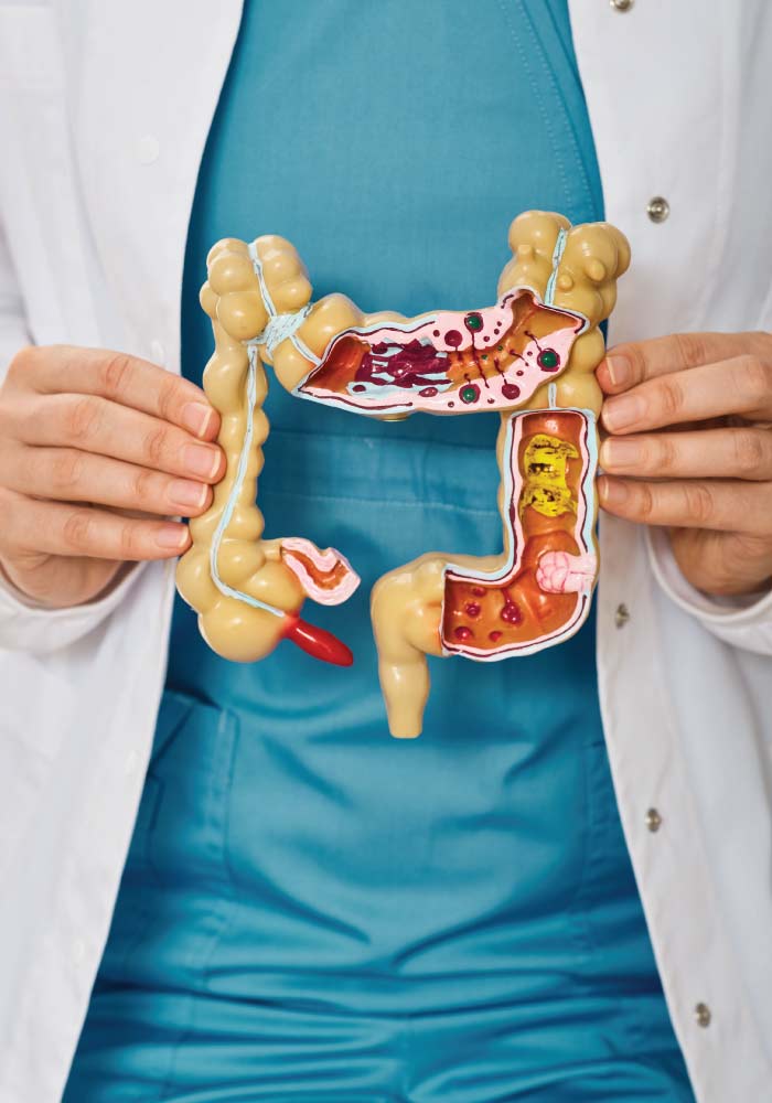 Gut Health Testing Burlington – Microbiome & Digestive Analysis ...